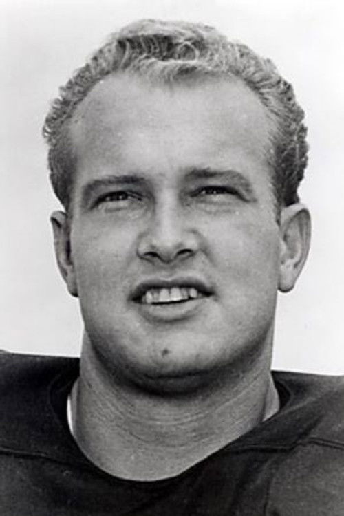 Список и рейтинг фильмов актера Paul Hornung на CUB